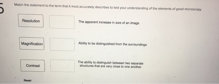 Solved Match the statement to the term that it most | Chegg.com