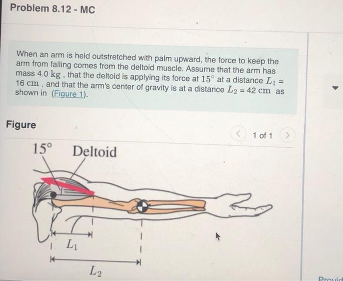 Solved Problem 8.12 - MC When an arm is held outstretched | Chegg.com