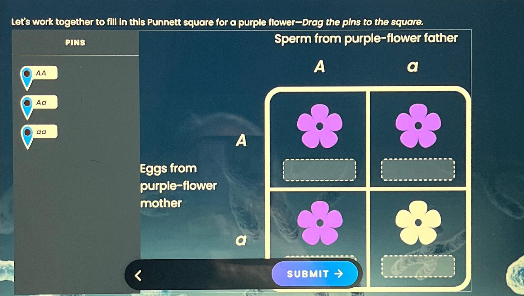 Solved Let's work together to fill in this Punnett square | Chegg.com