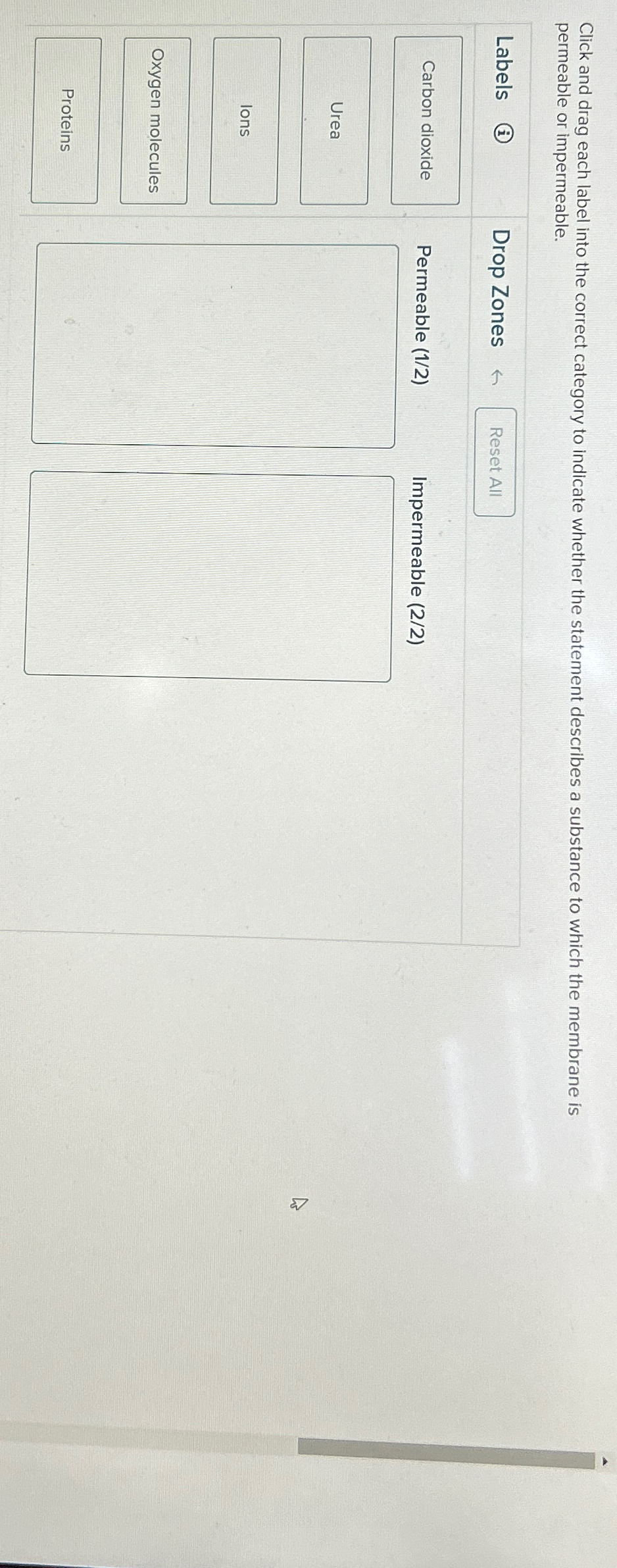 Solved Click and drag each label into the correct category | Chegg.com