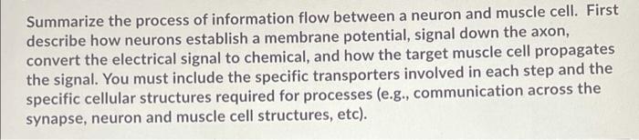 Solved Summarize the process of information flow between a | Chegg.com
