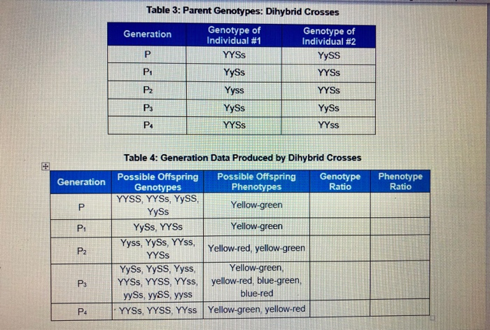 Solved Have I correctly filled in Table 4 so far?? Also, how | Chegg.com