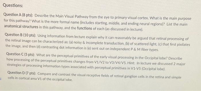 Question A ( 8 pts): Describe the Main Visual Pathway | Chegg.com