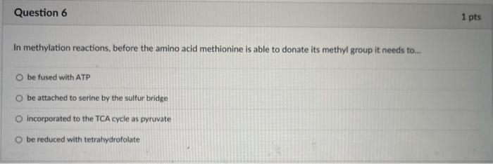 Solved In methylation reactions, before the amino acid | Chegg.com