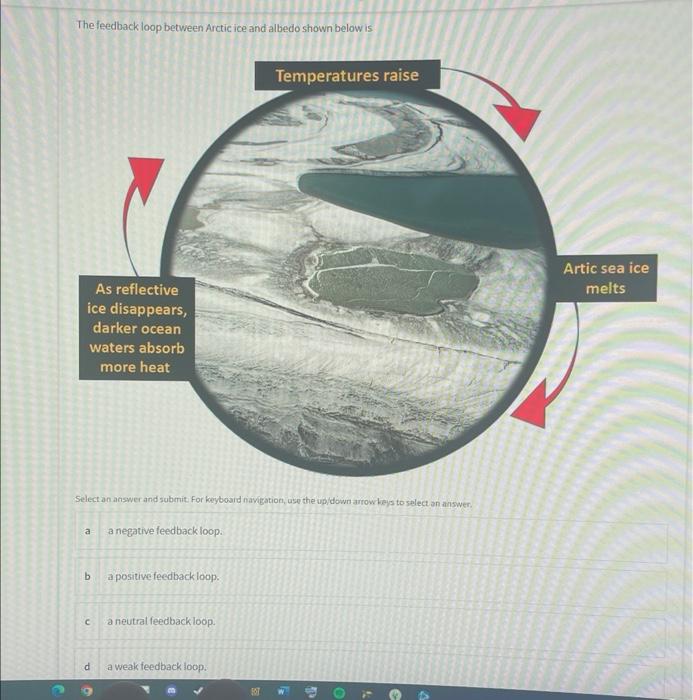 Solved The feedback loop between Arctic ice and albedo shown | Chegg.com