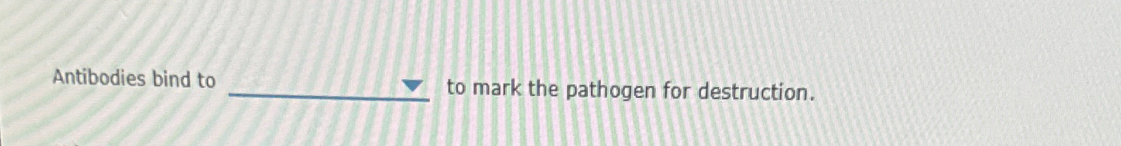 Solved Antibodies bind to ﻿to mark the pathogen for | Chegg.com