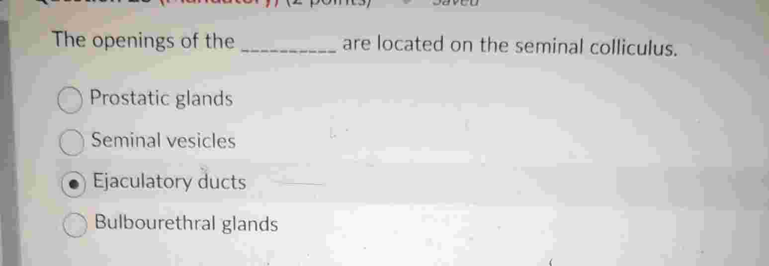 Solved The openings of the are located on the seminal | Chegg.com