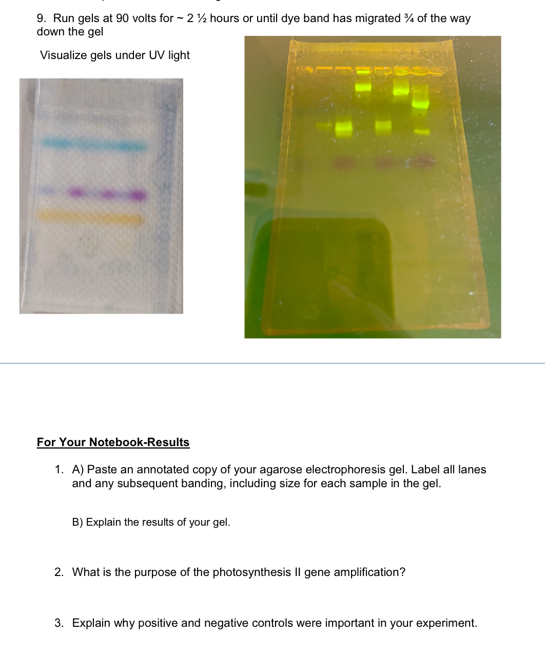 Solved For Your Notebook-ResultsA) ﻿Paste an annotated copy | Chegg.com