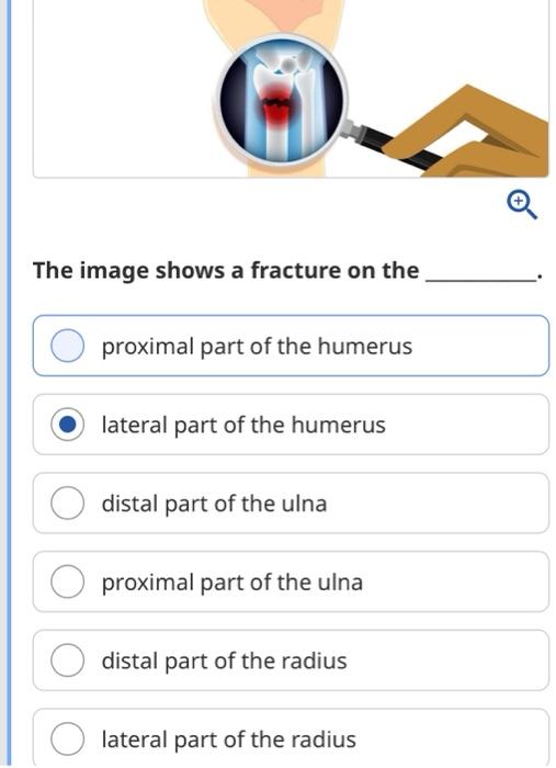 Solved Warm-up question Take a minute to look around and to | Chegg.com