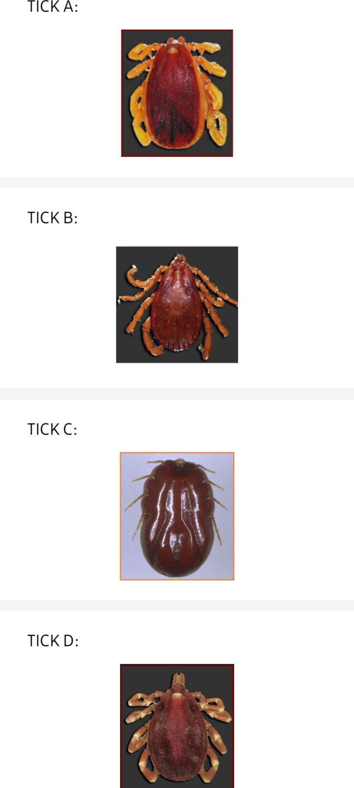 Solved TICK B: TICK C: TICK D: TICK F: TICK G TICKH TICK I | Chegg.com