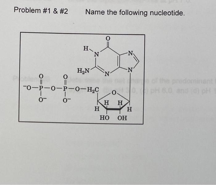 Solved Problem #1 \& #2 Name the following nucleotide. | Chegg.com