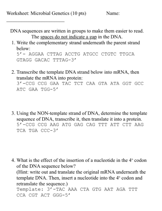 Solved Worksheet: Microbial Genetics (10 pts) Name: DNA | Chegg.com