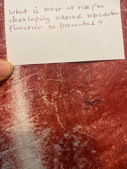Solved What is most at risk for developing altered | Chegg.com
