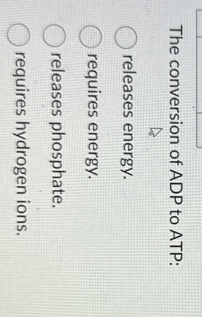 Solved The conversion of ADP to ATP:releases energy.requires | Chegg.com