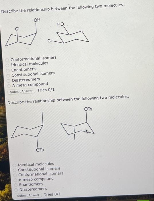 Solved Describe the relationship between the following two | Chegg.com