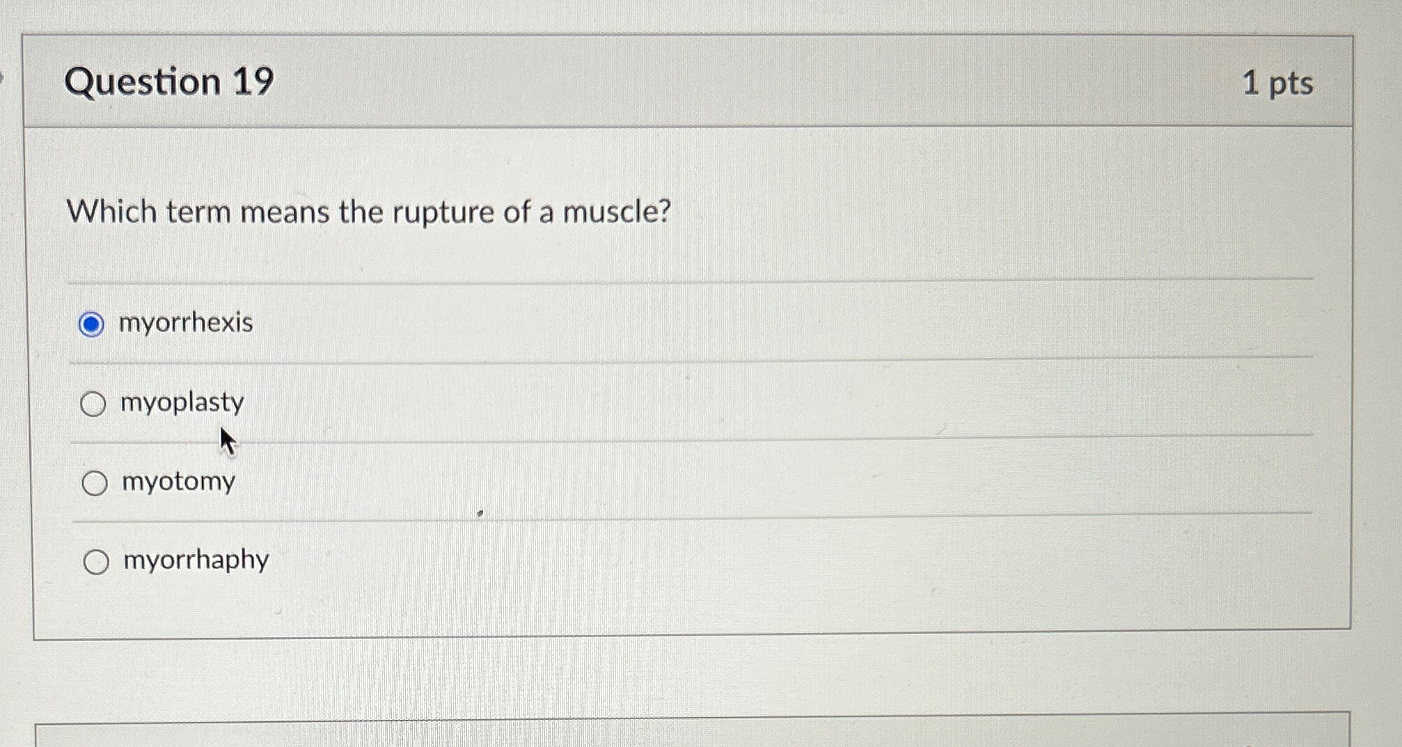 Solved Question 191 ﻿ptsWhich term means the rupture of a | Chegg.com