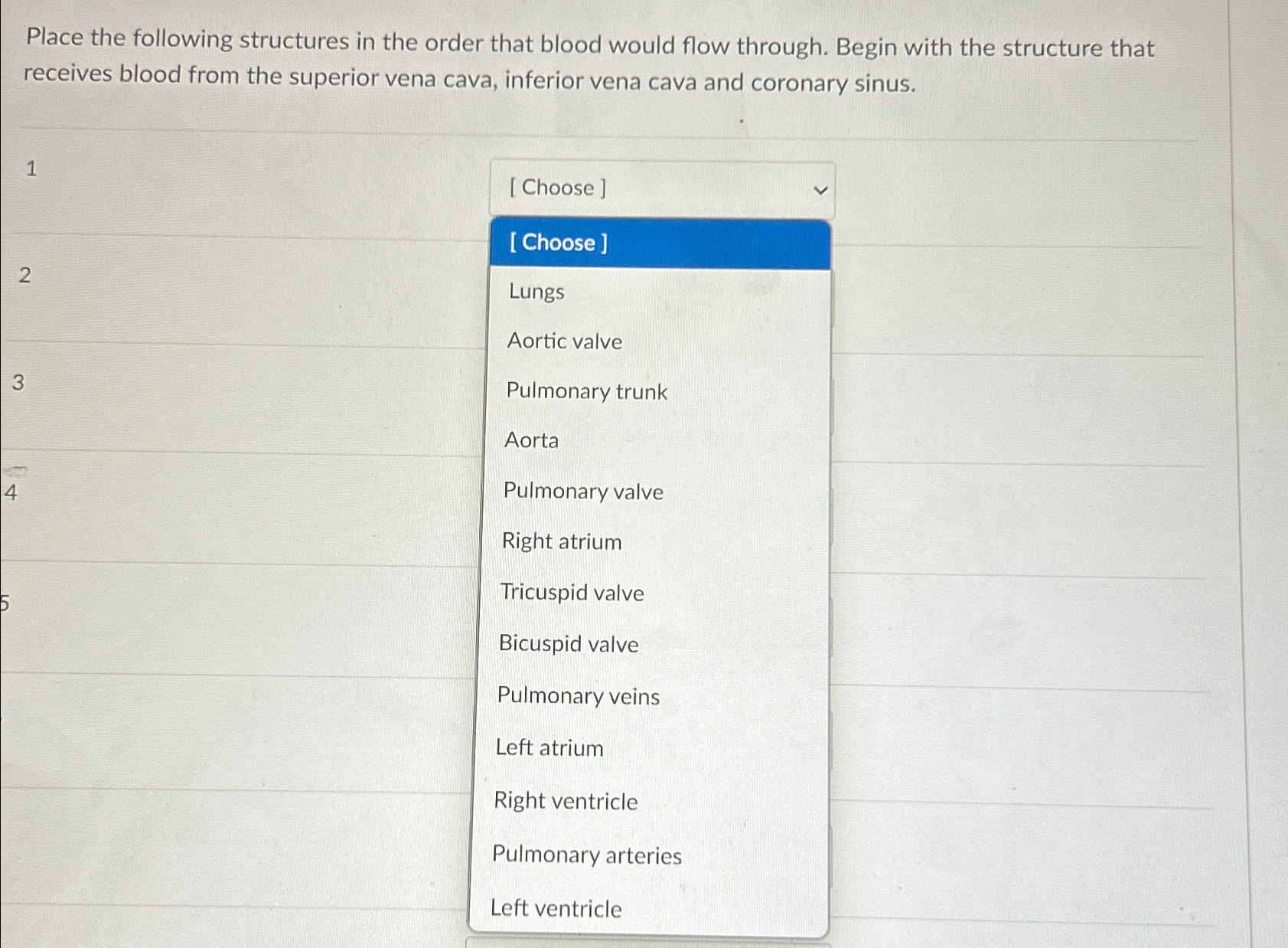 Solved Place the following structures in the order that | Chegg.com