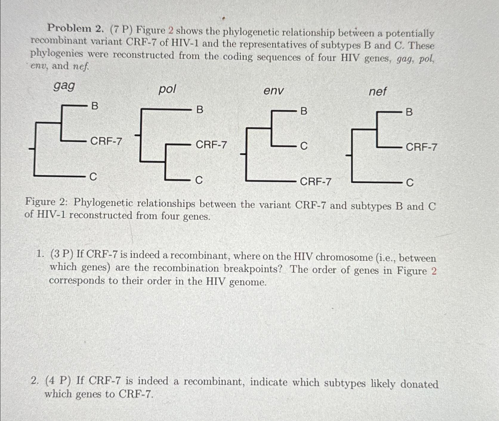 Solved Problem 2. (7 ﻿P) ﻿Figure 2 ﻿shows the phylogenetic | Chegg.com
