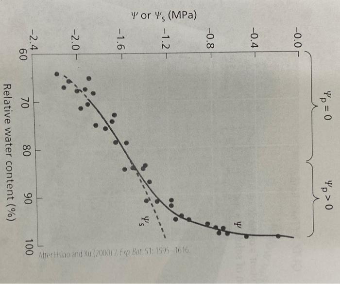 Solved given the diagram, showing how relative water content | Chegg.com