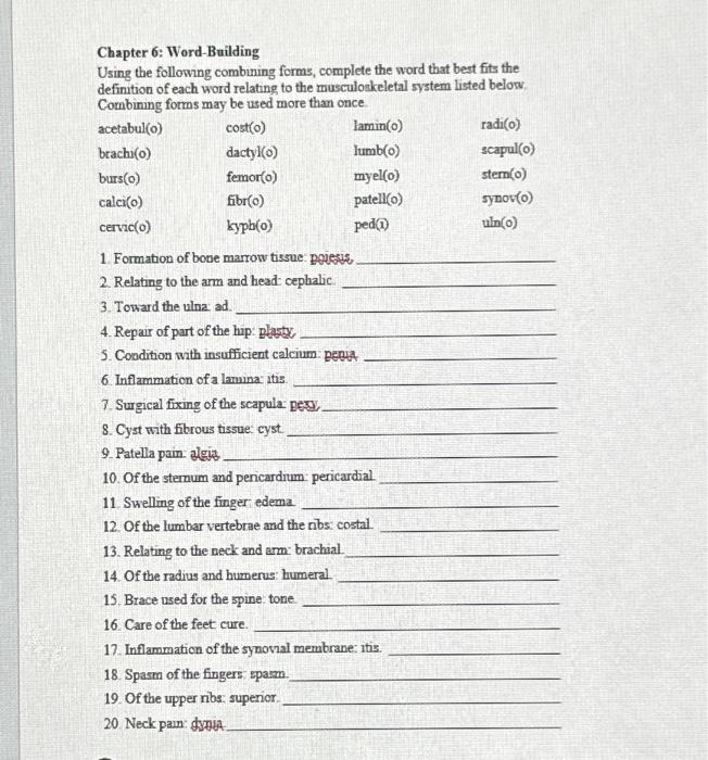 Solved Chapter 6: Word-Building Using the following | Chegg.com