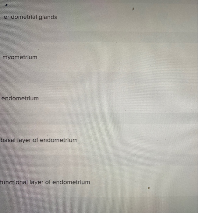 Solved 0o endometrial glands myometrium endometrium basal | Chegg.com