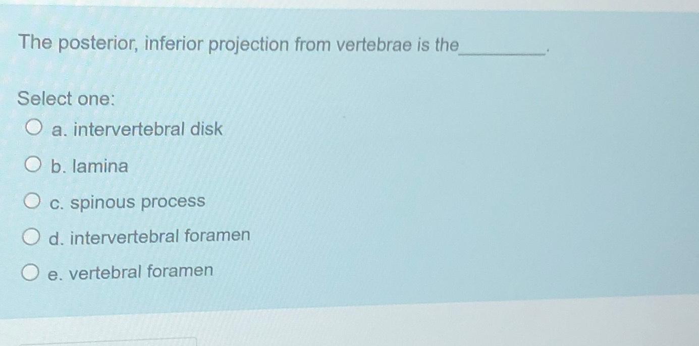 Solved The posterior, inferior projection from vertebrae is | Chegg.com