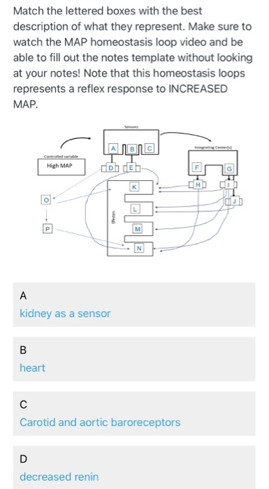 Solved Based on the homeostasis loop that you labelled in | Chegg.com