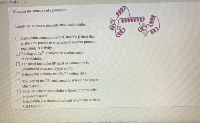 Solved uestion 11 of 37 > Consider the structure of | Chegg.com