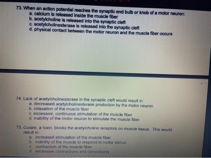 Solved 73. When an action potential reaches the synaptic end | Chegg.com