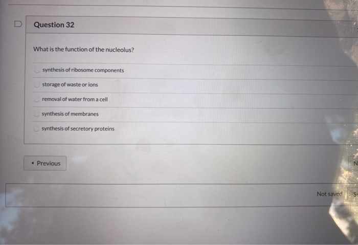 Solved Question 32 What is the function of the nucleolus? | Chegg.com