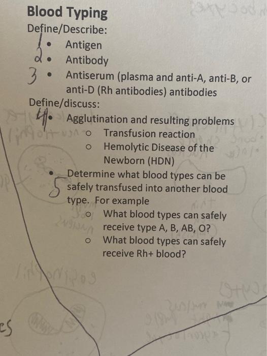 Solved Blood Typing Define/Describe: Antigen Antibody 3. | Chegg.com