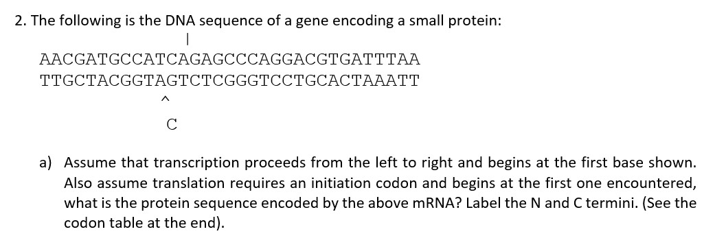 Solved The following is the DNA sequence of a gene encoding | Chegg.com