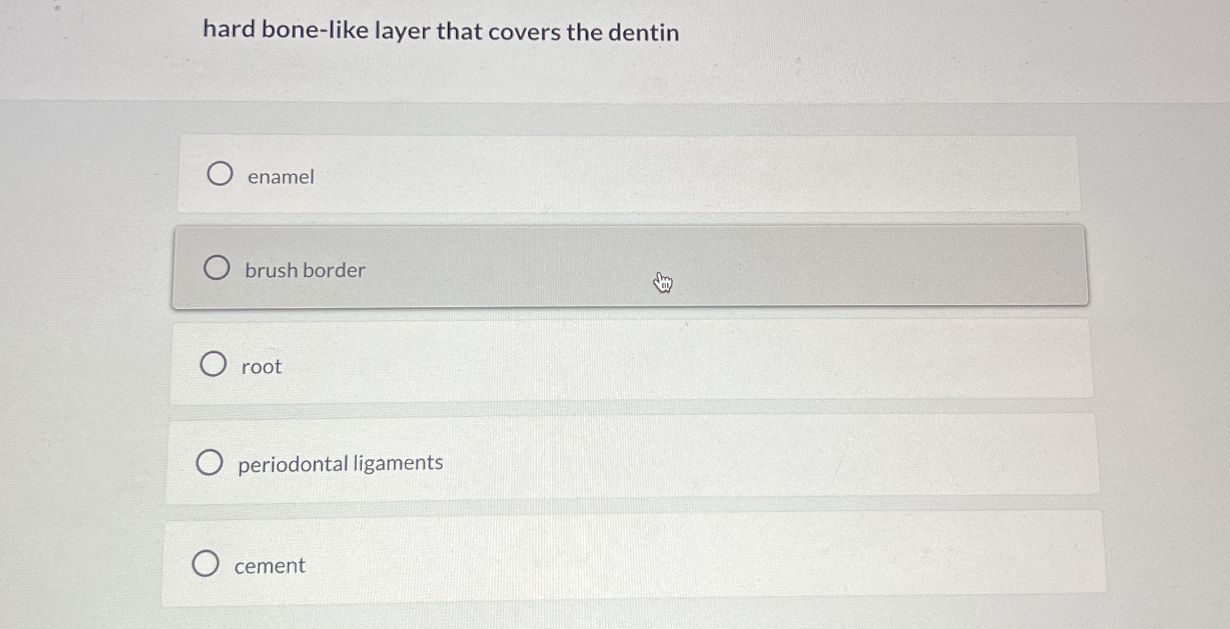 Solved hard bone-like layer that covers the | Chegg.com
