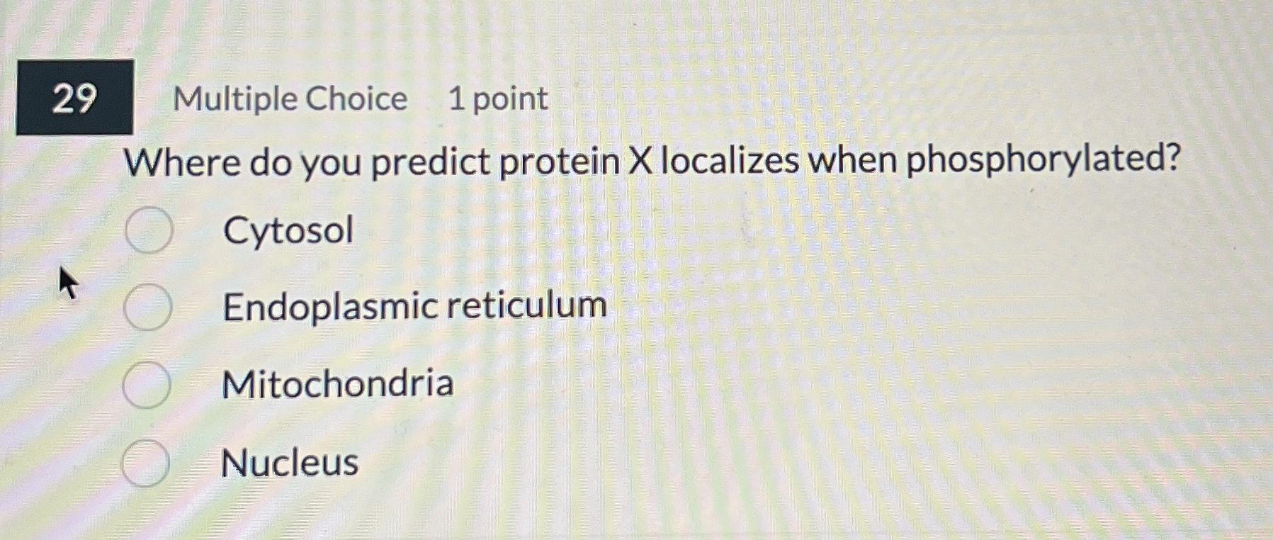 Solved 29Multiple Choice1 ﻿pointWhere do you predict protein | Chegg.com