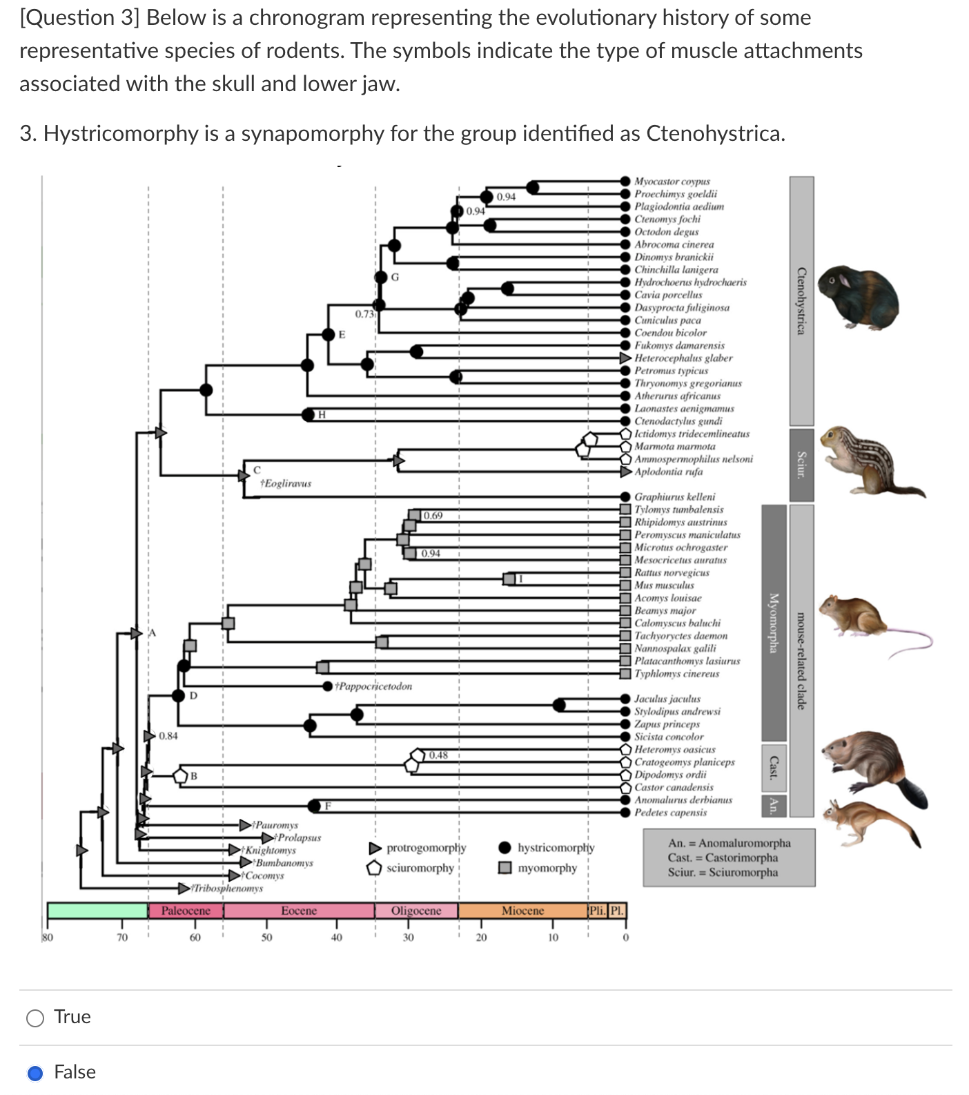 Solved [Question 3] ﻿Below is a chronogram representing the | Chegg.com