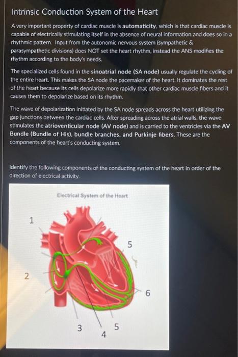 Intrinsic Conduction System of the HeartIntrinsic | Chegg.com