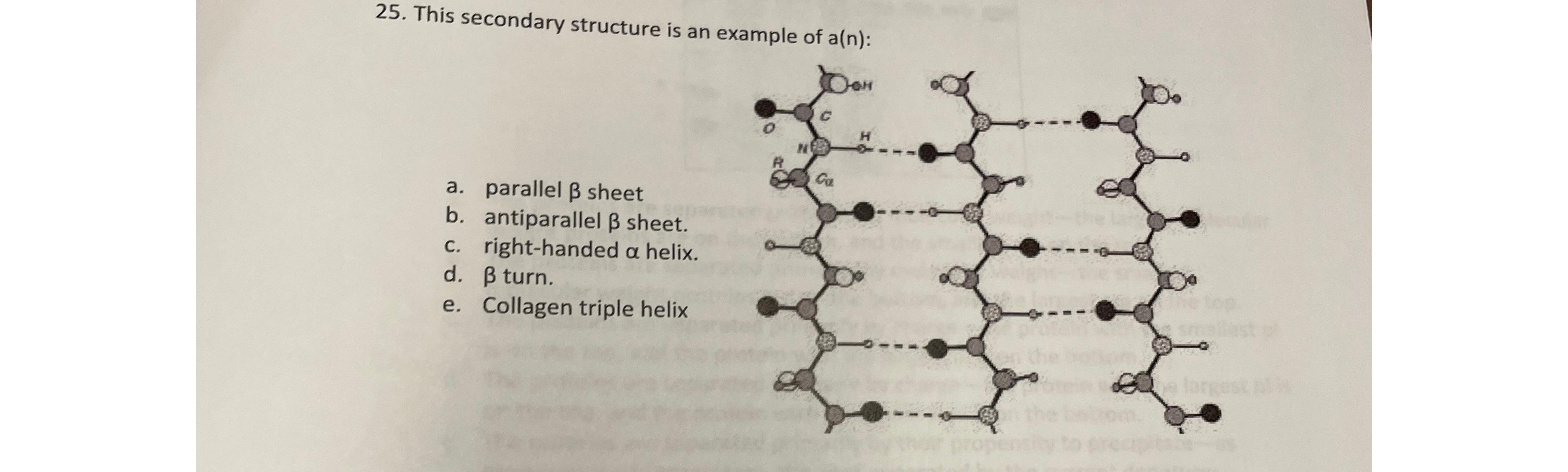 Solved This secondary structure is an example of a(n) ﻿:a. | Chegg.com