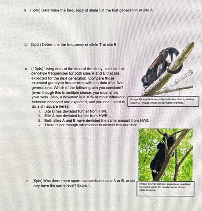 Solved Mantled howler monkeys (Alouatta palliata) are known | Chegg.com