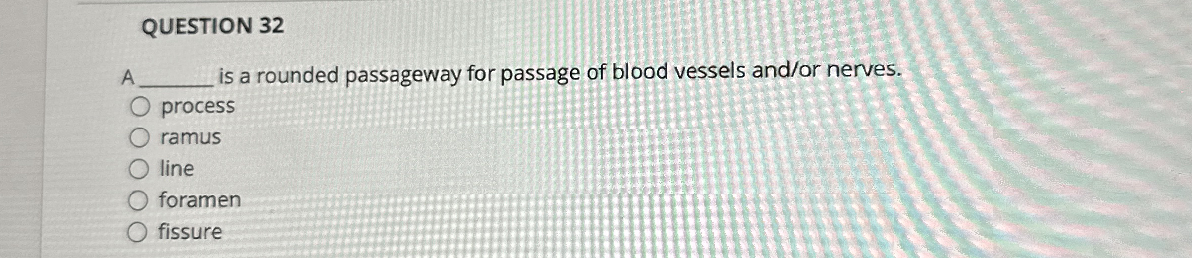 Solved QUESTION 32Ais a rounded passageway for passage of | Chegg.com