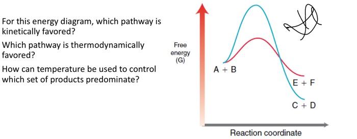 Solved For this energy diagram, which pathway is kinetically | Chegg.com