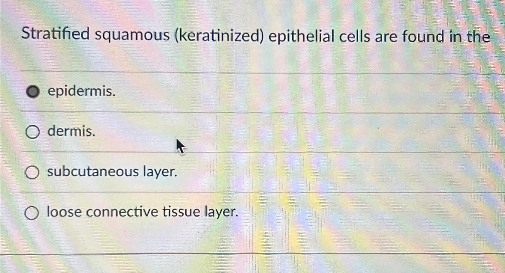 Solved Stratified squamous (keratinized) ﻿epithelial cells | Chegg.com
