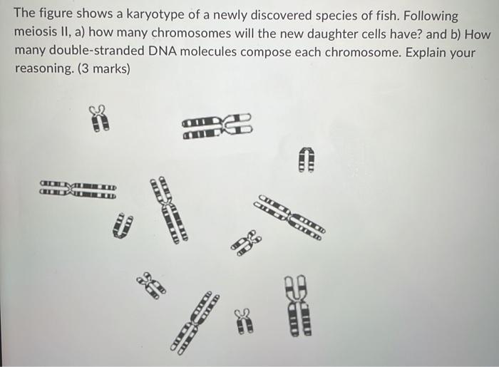 Solved The figure shows a karyotype of a newly discovered | Chegg.com