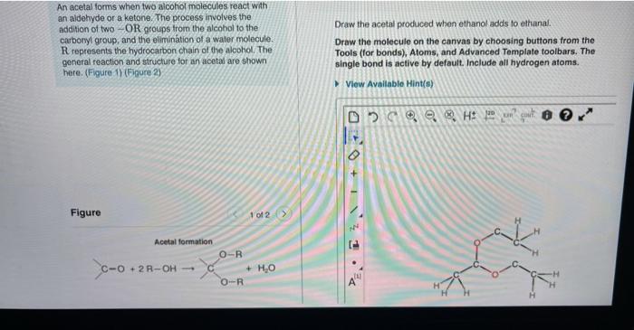 Solved An acetal forms when two alcohol molecules react with | Chegg.com