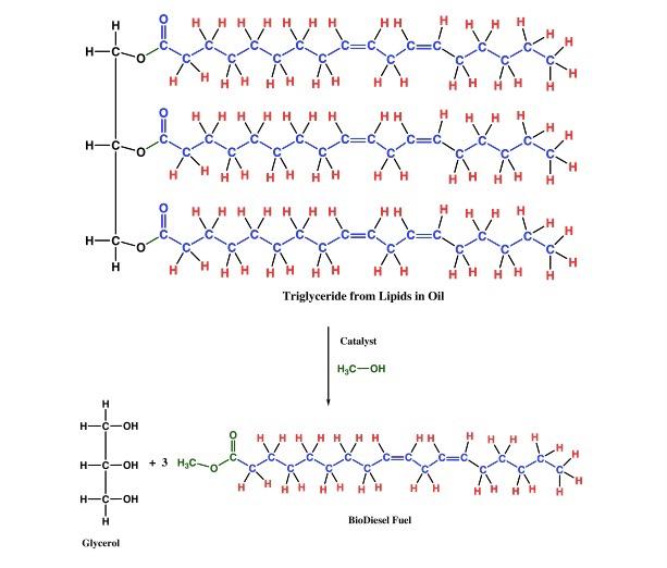 Solved Draw the full reaction mechanism (using arrow | Chegg.com