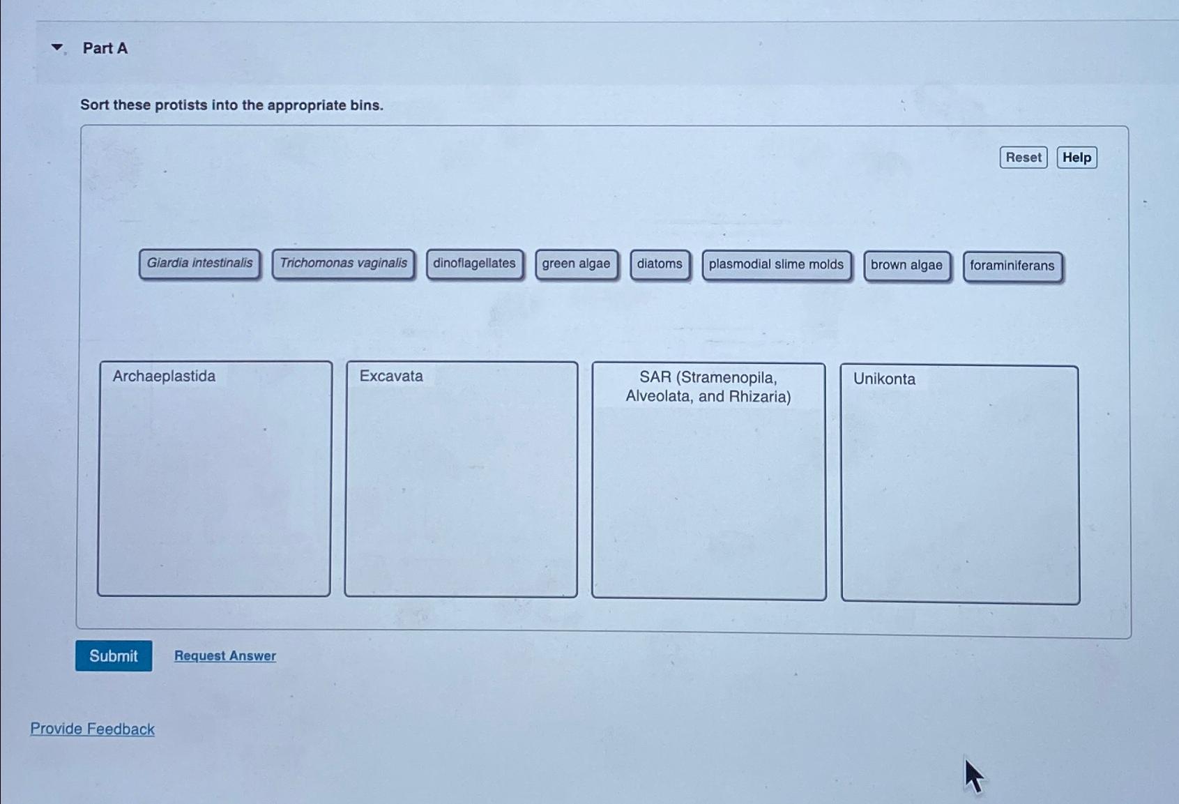 Solved Part ASort these protists into the appropriate | Chegg.com