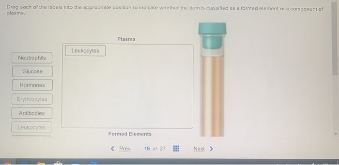 Drag each of the labels into the appropriate position | Chegg.com