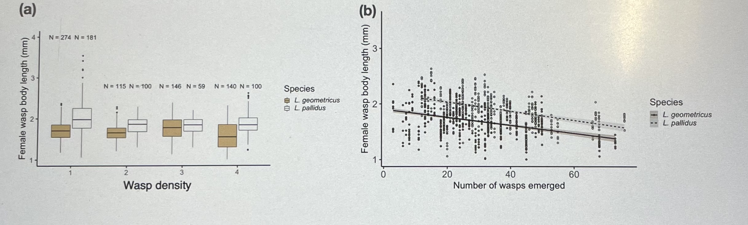 Solved What does the graphical components represent? | Chegg.com