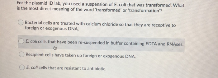 Solved To isolate plasmids, the Qiaquick column was directly | Chegg.com