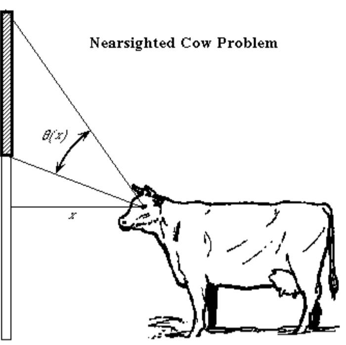 Solved The Nearsighted Cow Problem: A Calculus Classic. A | Chegg.com