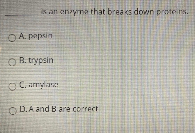 Solved is an enzyme that breaks down proteins. A. pepsin B. | Chegg.com